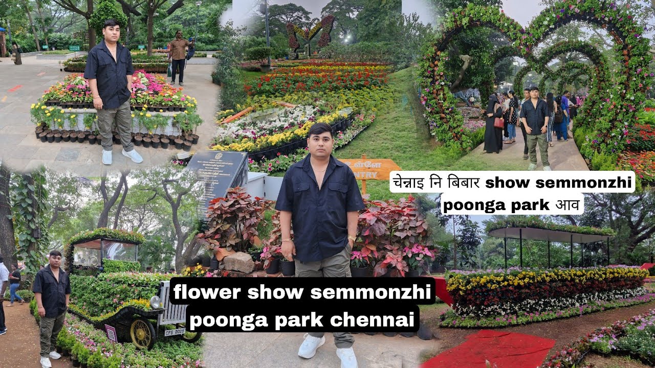 Flower Show Chennai 🥀🌺// semmonzhi poonga park flower Show chennai //🌻🌹 ...