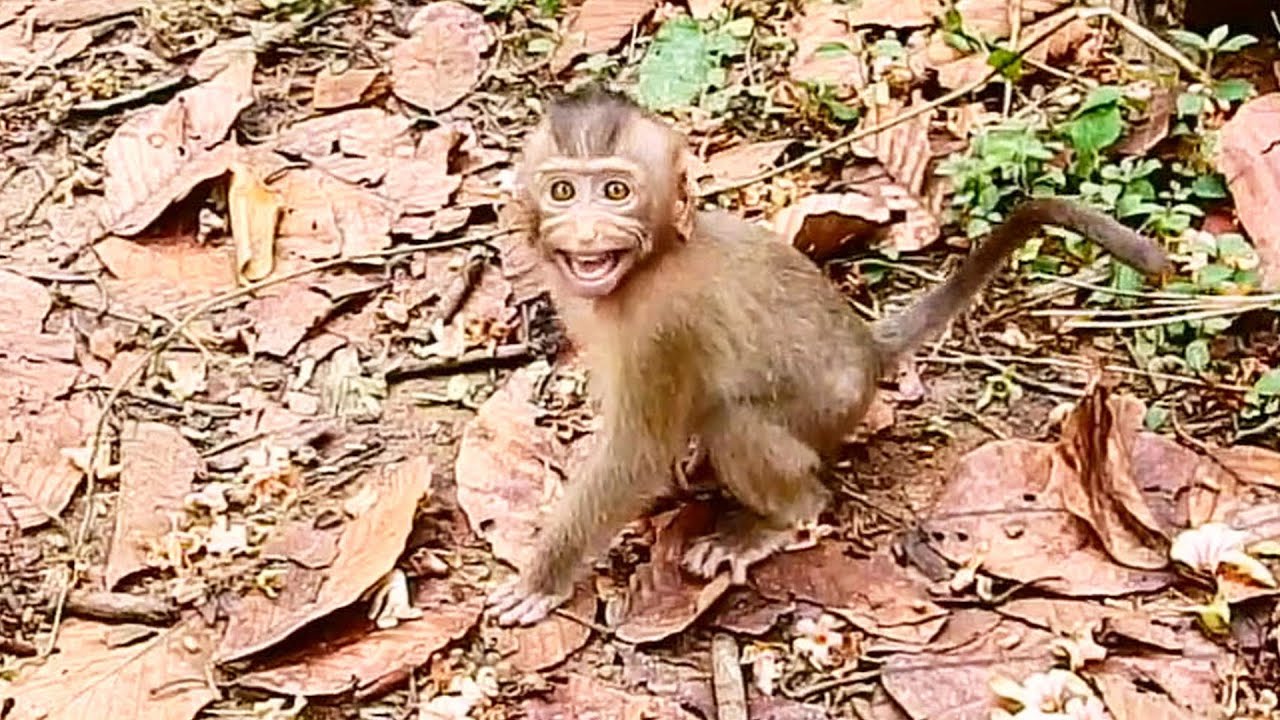 Little Rainbow try her best to remove herself from Libby & run to hug ...