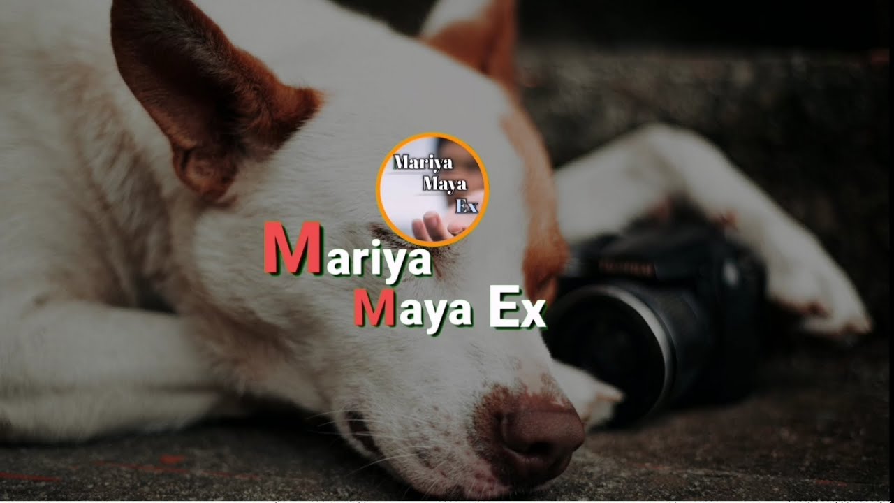 Asleep - HaTom [ Mariya Maya Ex Free Music ] #20 - YouTube