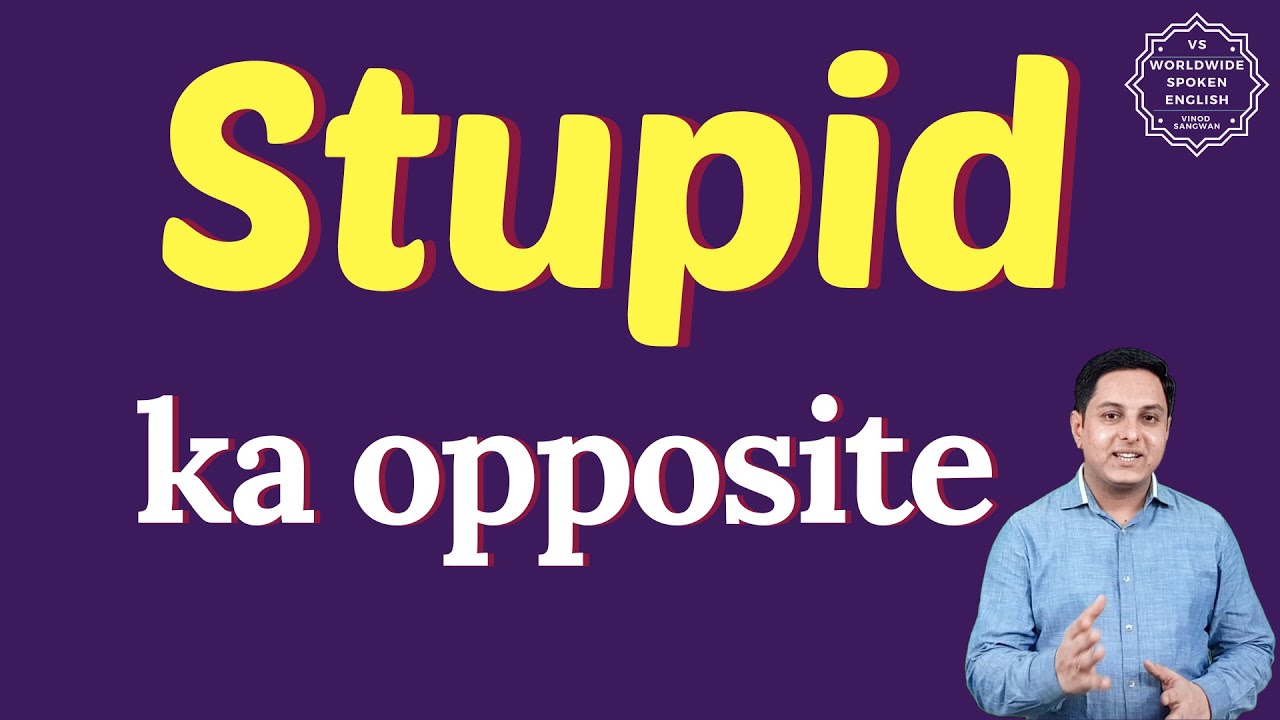 Stupid Ka Opposite Word Kya Hota Hai Opposite Of Stupid In English stupid-ka-opposite-word-kya-hota-hai-opposite-of-stupid-in-english