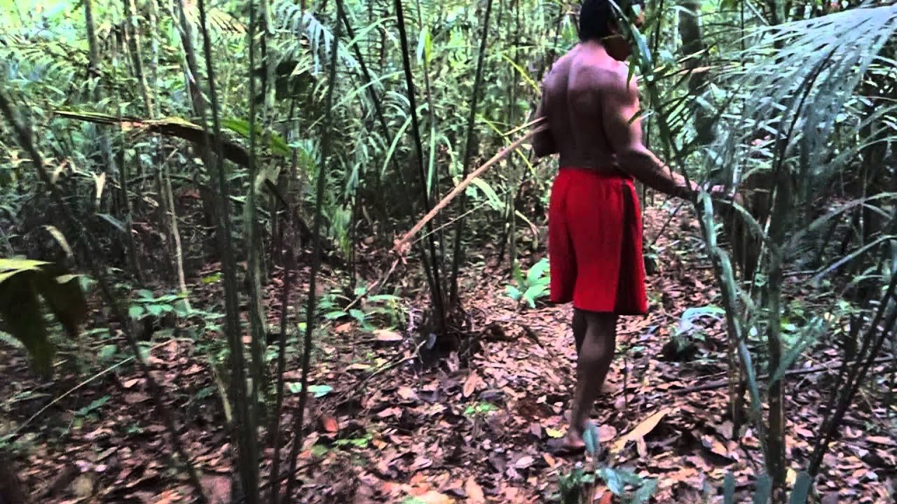 Sobreviviencia na Selva Amazonia Indio Tatuyo Amazonas Indian Jungle ...