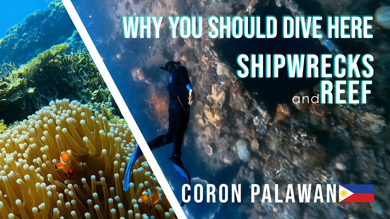 Best Dive Sites in Coron Palawan | Reef & Shipwrecks | Diving Paradise ...
