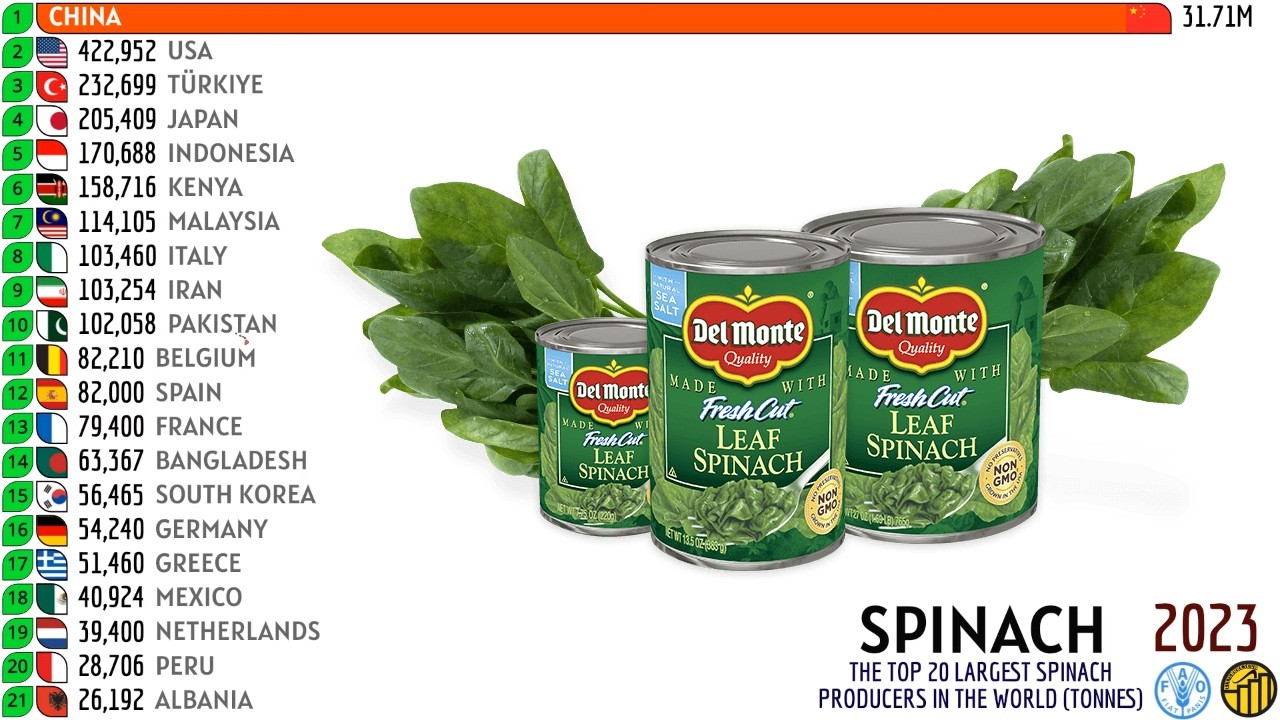 THE TOP 20 LARGEST SPINACH PRODUCERS IN THE WORLD - YouTube