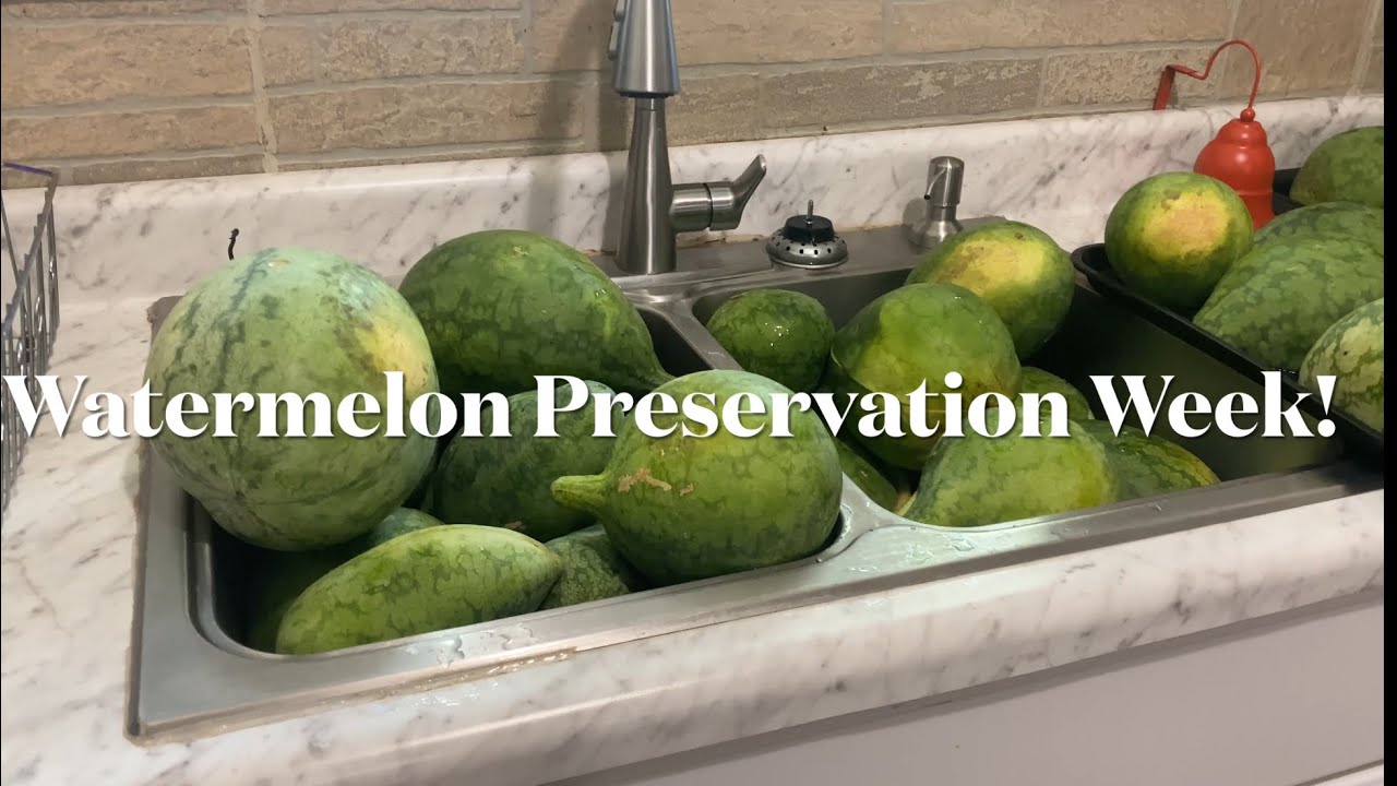 This Week Is EVERYTHING WATERMELON ~ Preserving The Watermelon Harvest ...