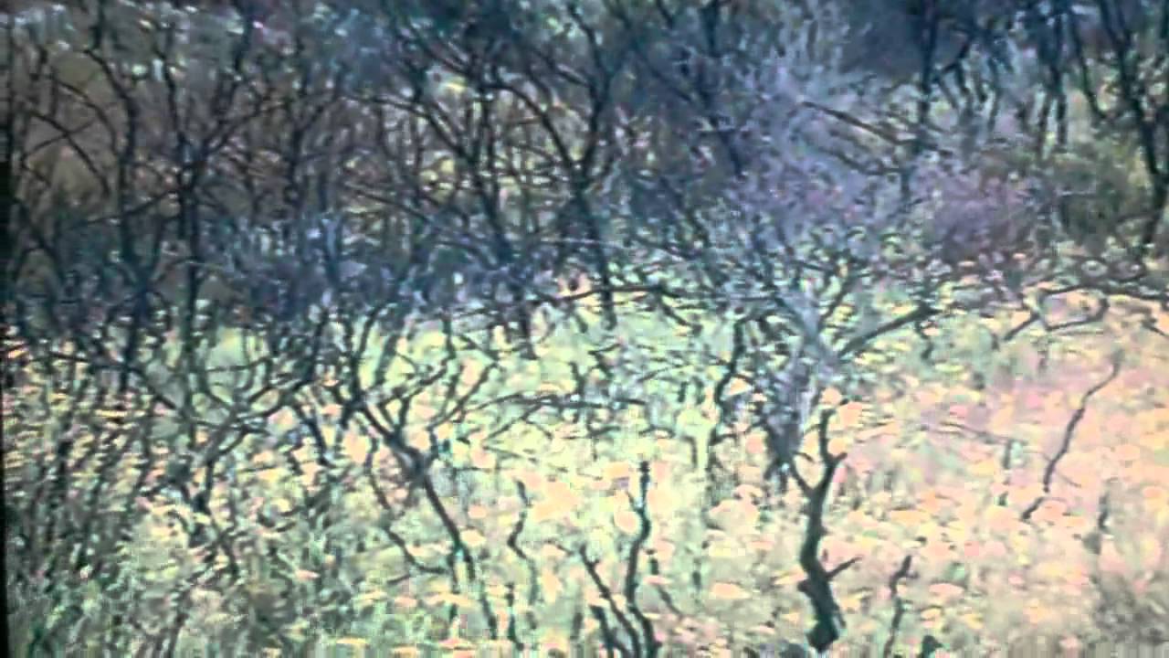 kinigi lagou-5MARINIS - YouTube