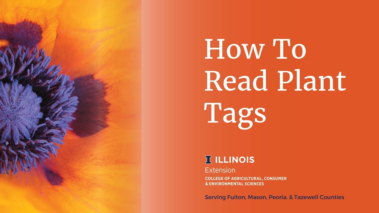 How To Read Plant Tags - YouTube