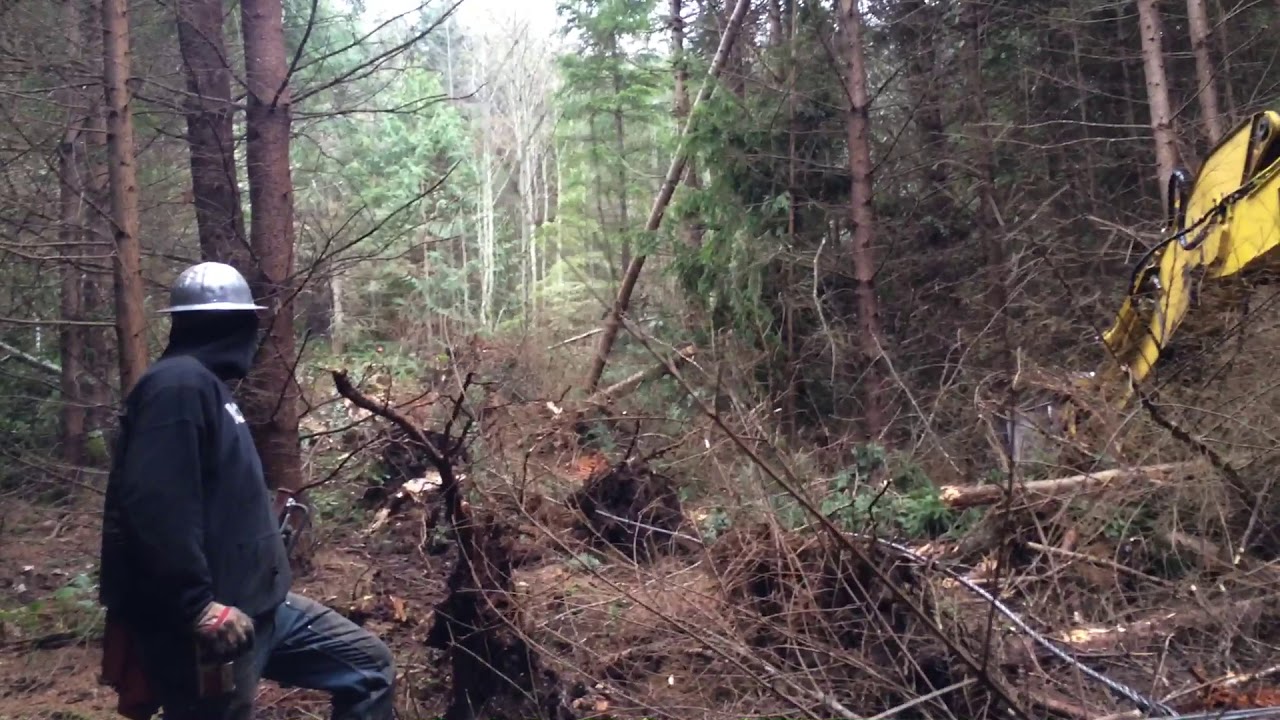 Logging excavator, skyline anchor #logging #excavator - YouTube