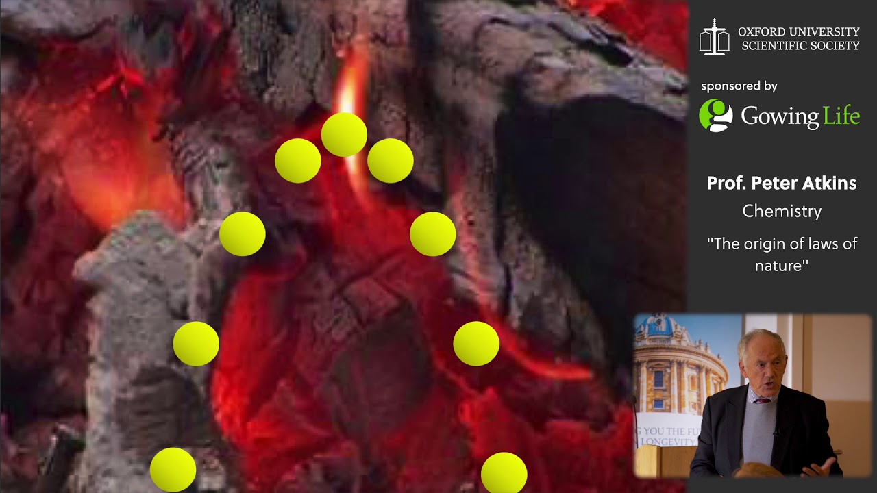 The Origin of the Laws of Nature (Prof. Peter Atkins) - YouTube