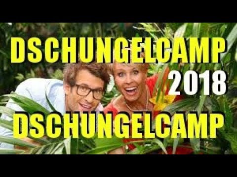 DSCHUNGELCAMP 2018 ALLE 12 KANDIDATEN (ANDREAS LOTH nicht dabei) GEWINNER DSCHUNGELCAMP 2018