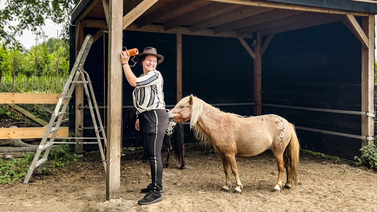 #4 Burning Fallen Trees & Working on the Stable - YouTube