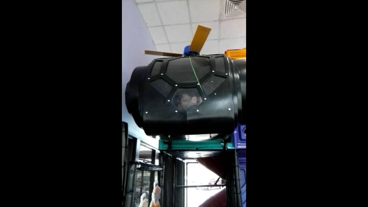 Kids in Burger King playground - YouTube