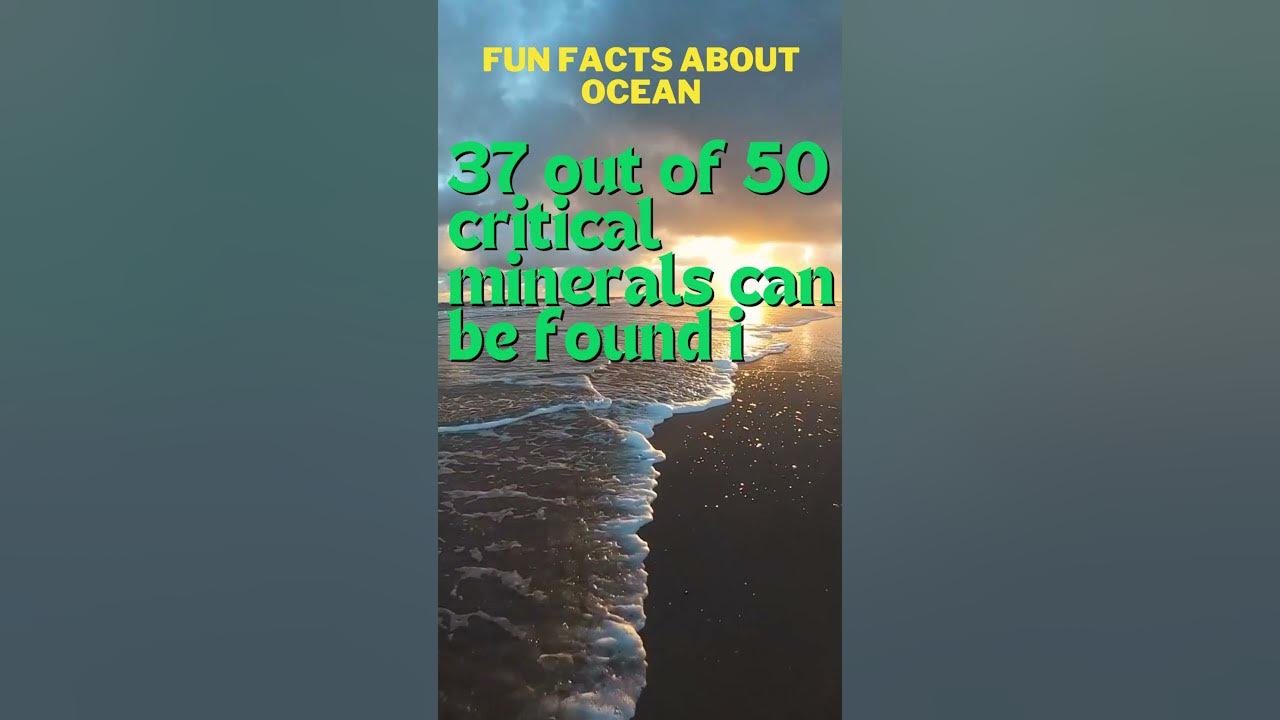 Fun Facts About Sea YouTube fun-facts-about-sea-youtube