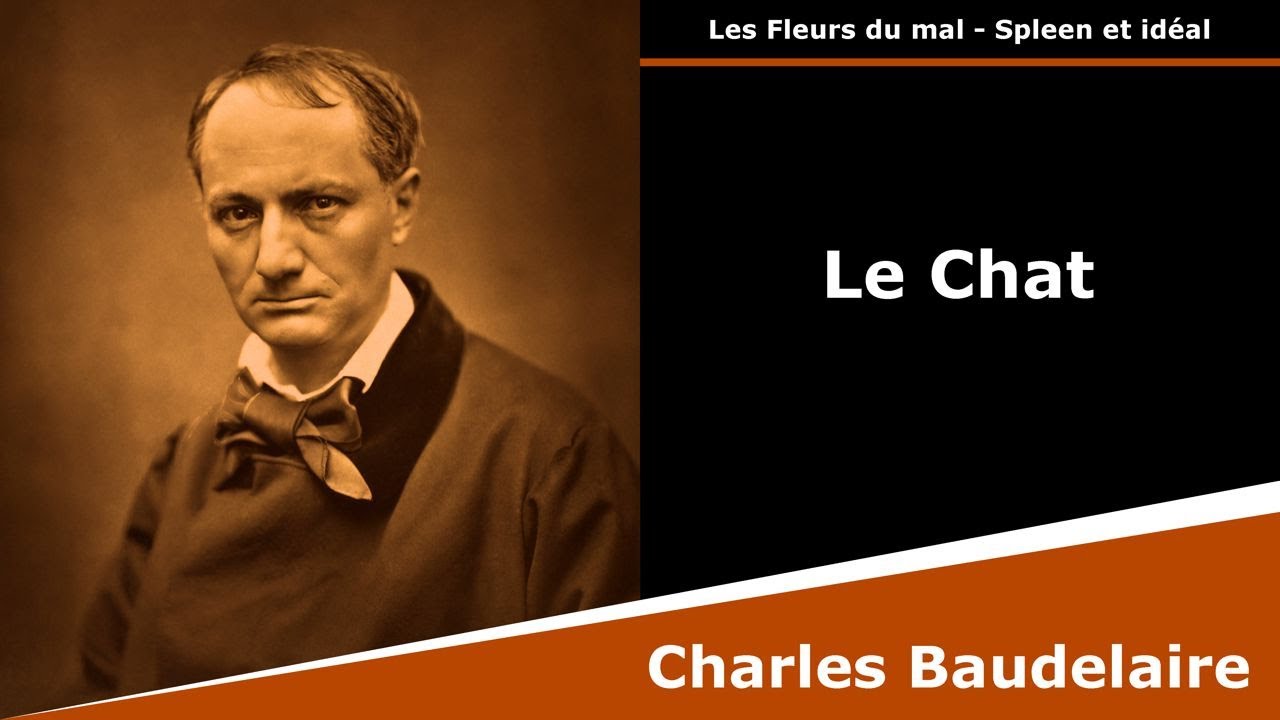Le Chat - Les Fleurs du mal - Sonnet - Charles Baudelaire - YouTube