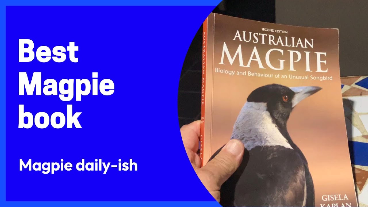 Best Magpie book - YouTube