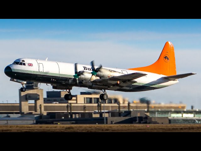 Lockheed Electra L 188 Crashes