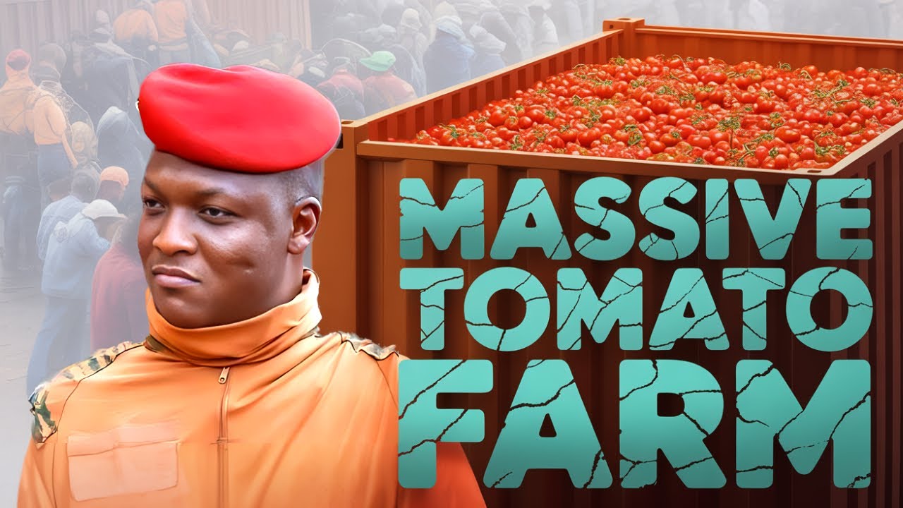 Captain Traoré's MASSIVE 200,000-Acre Tomato Farm Smashes Records ...
