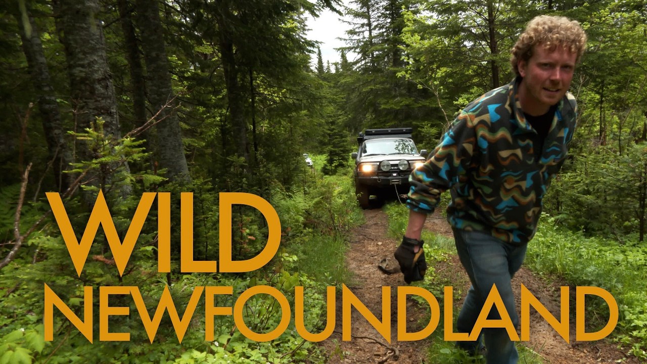 The best 4x4 trails in Newfoundland are WILD! Voyager Newfoundland Series Episode 2 - YouTube