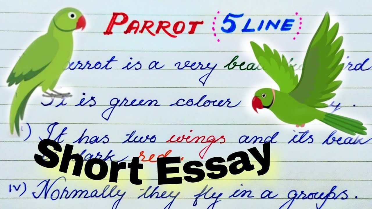 5 lines on parrot in english | essay on parrot/parrot essay in english ...
