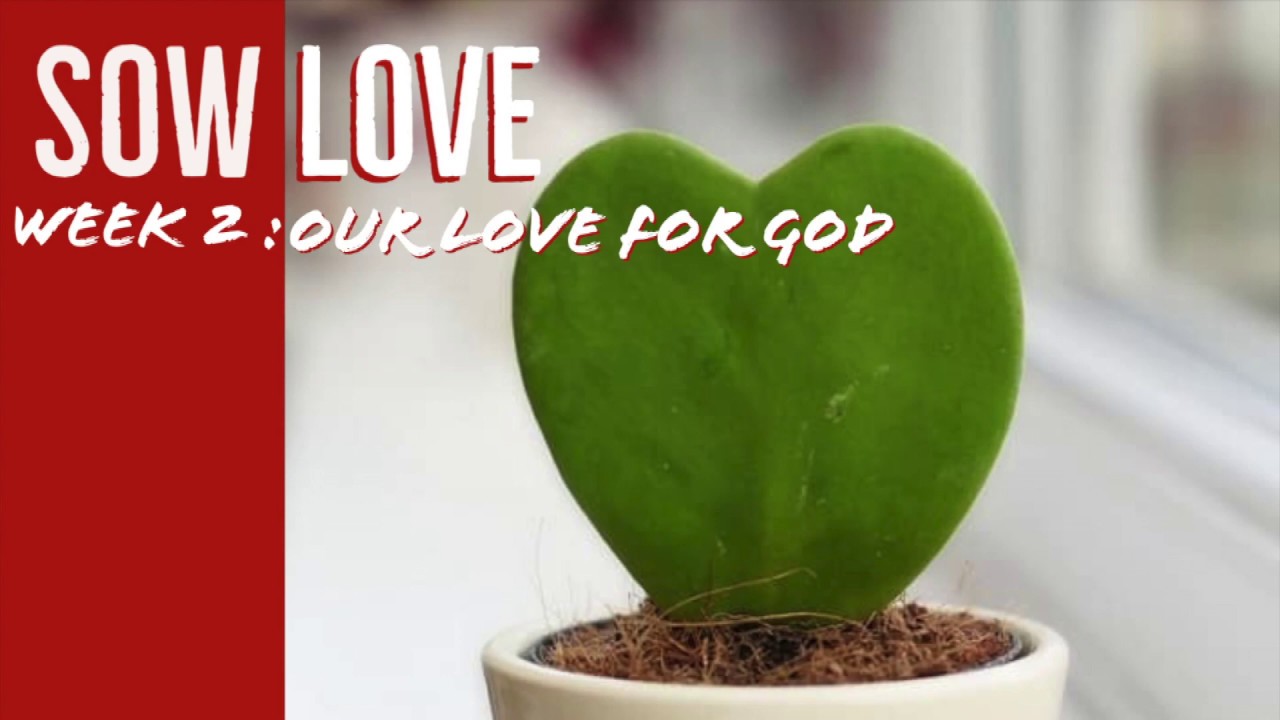 Sow Love, Week 2: Our Love for God - YouTube