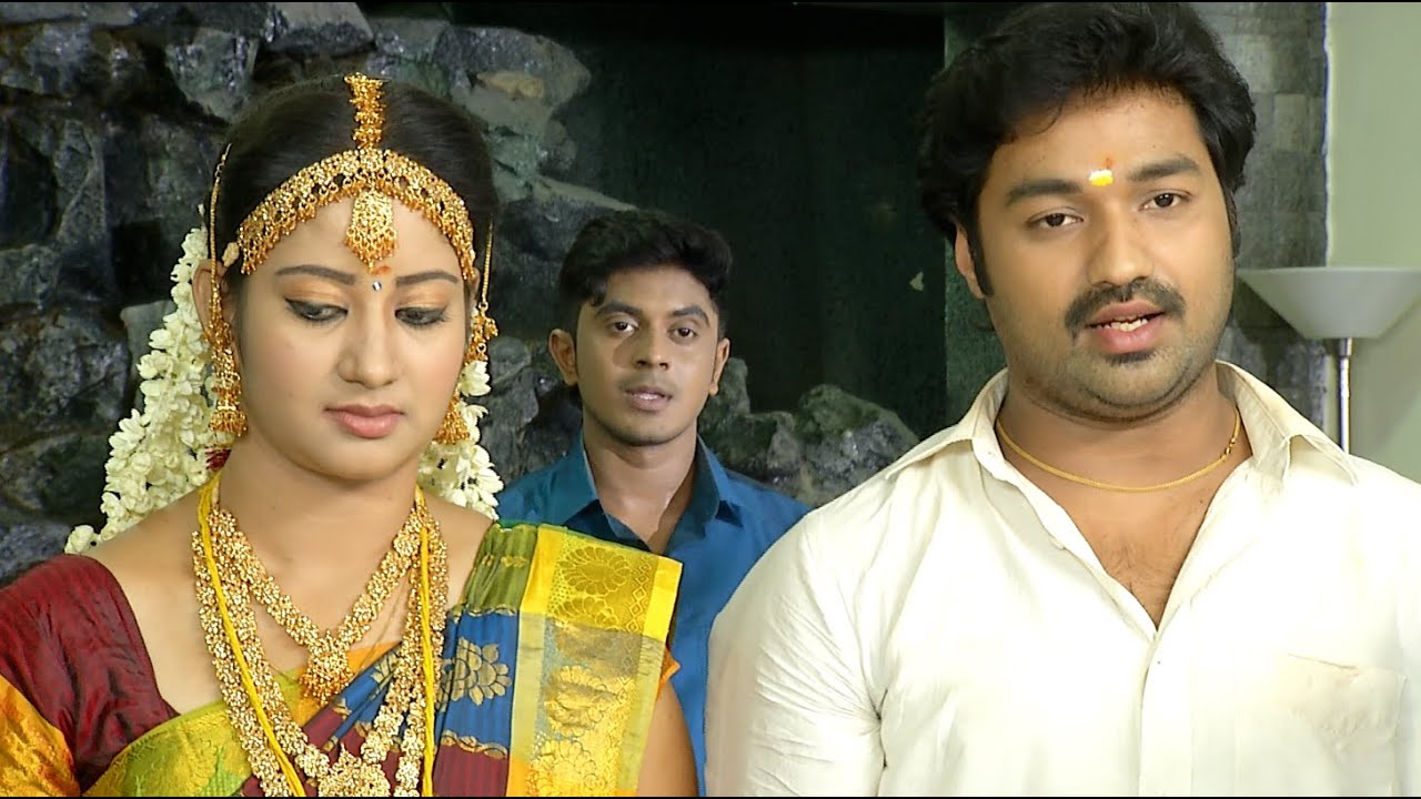 Priyamanaval Episode 138, 01/07/15 - YouTube