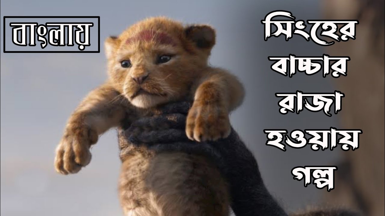 সিংহের বাচ্চার রাজা হওয়ায় গল্প | lion king full movie in Bangla ...