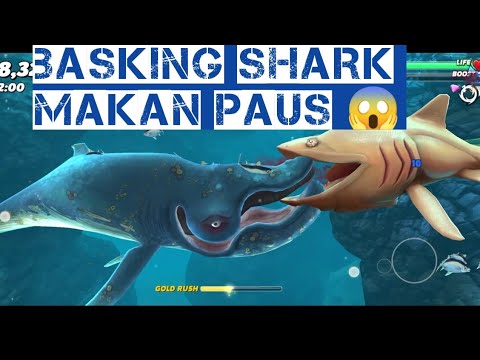 HIU BASKING SHARK #HUNGRYSHARKEVOLUTION #HUNGRYSHARKWORLD - YouTube