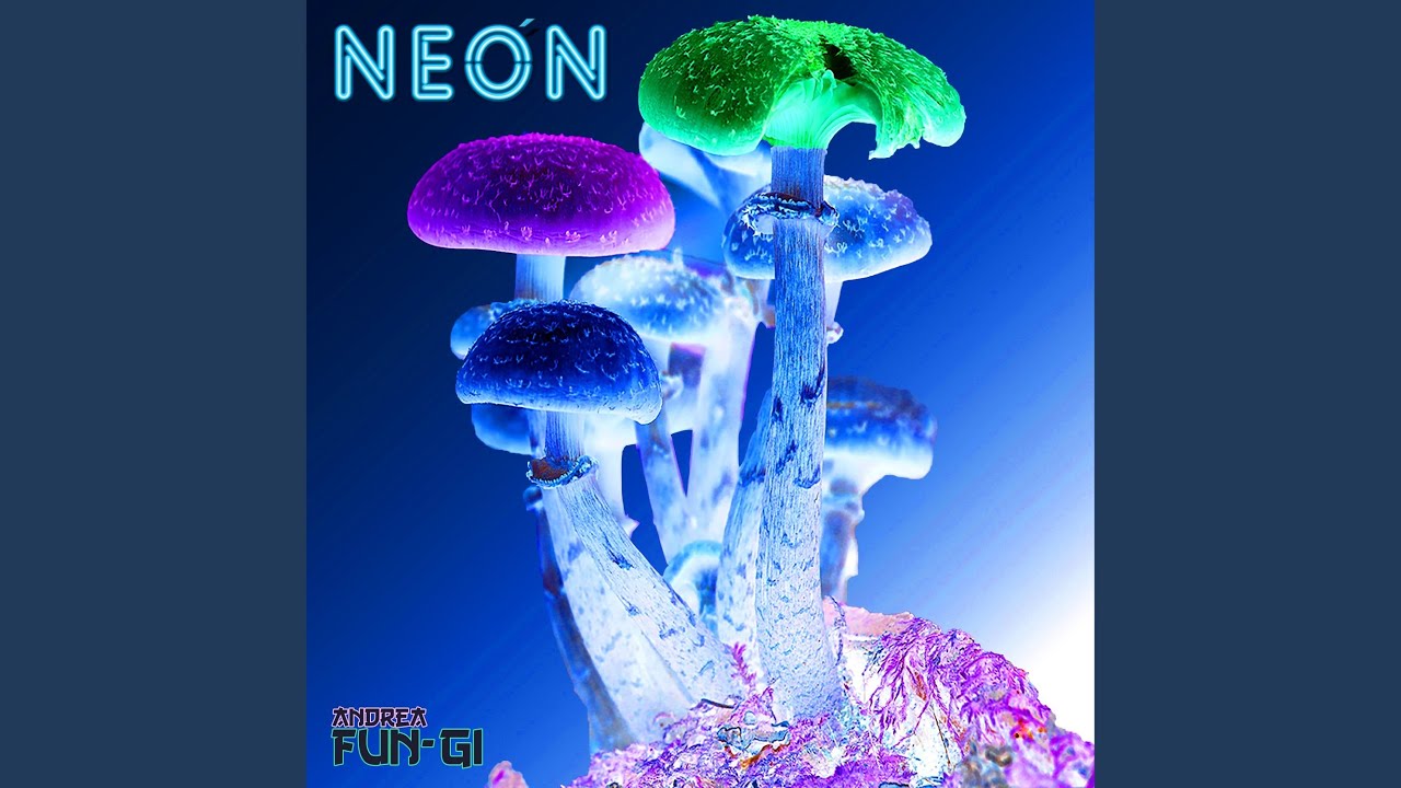 Amor de alto consumo - Andrea Fun-Gi: Song Lyrics, Music Videos & Concerts