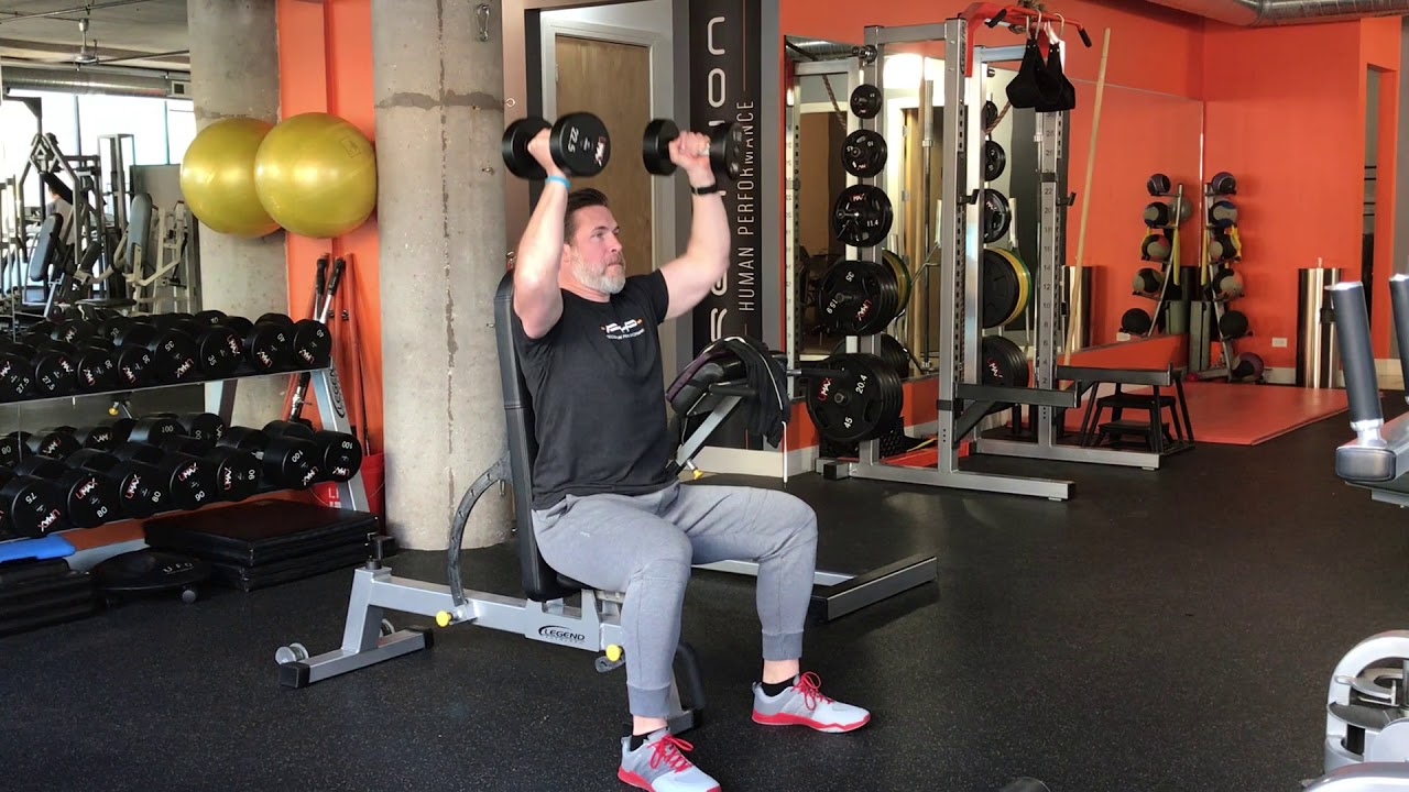 Seated with Back Support Dumbbell Overhead Press with Neutral Grip ...