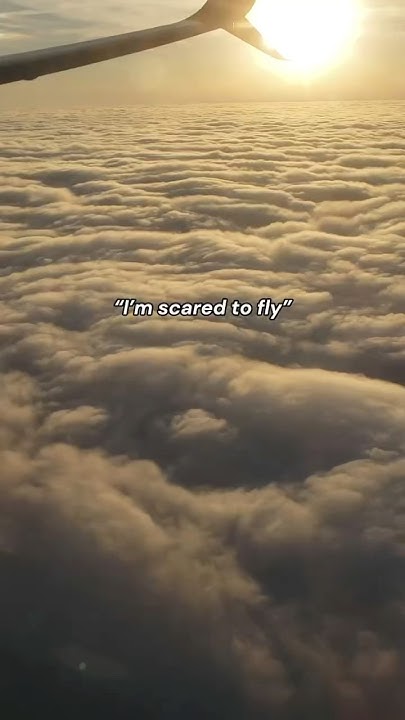 Scared to fly? @BritishAirways #flyingwithconfidence shout out to ...