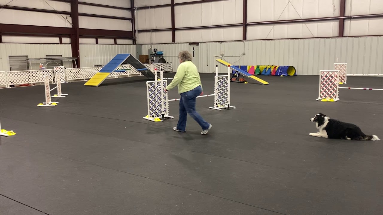 Flicka NDAL January Game - YouTube