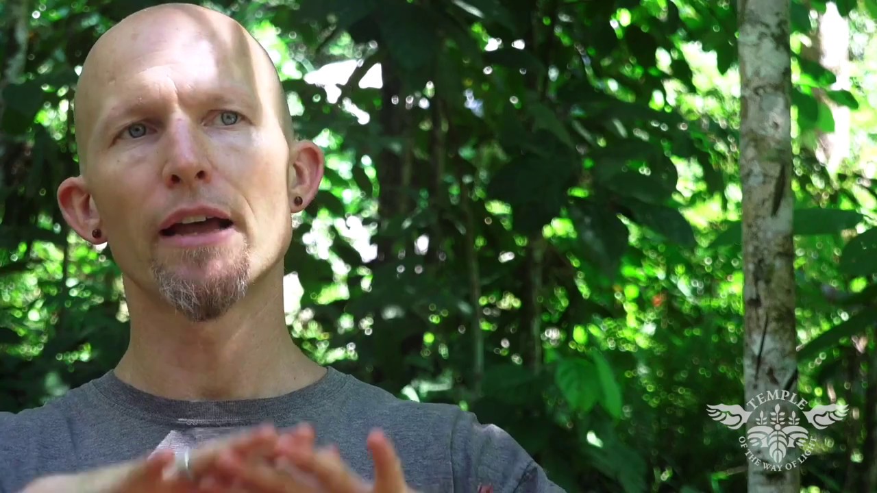 Treating Psycho-Emotional Conditions with Ayahuasca - Dr. Dan Engle ...