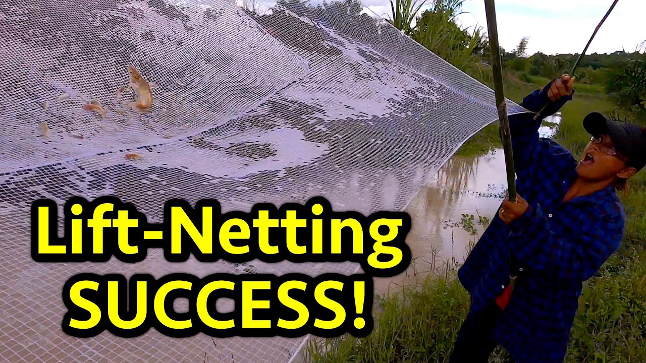 CATCHING Lots of FISH Using A Lift Net (Thailand's Rainy Season) - YouTube