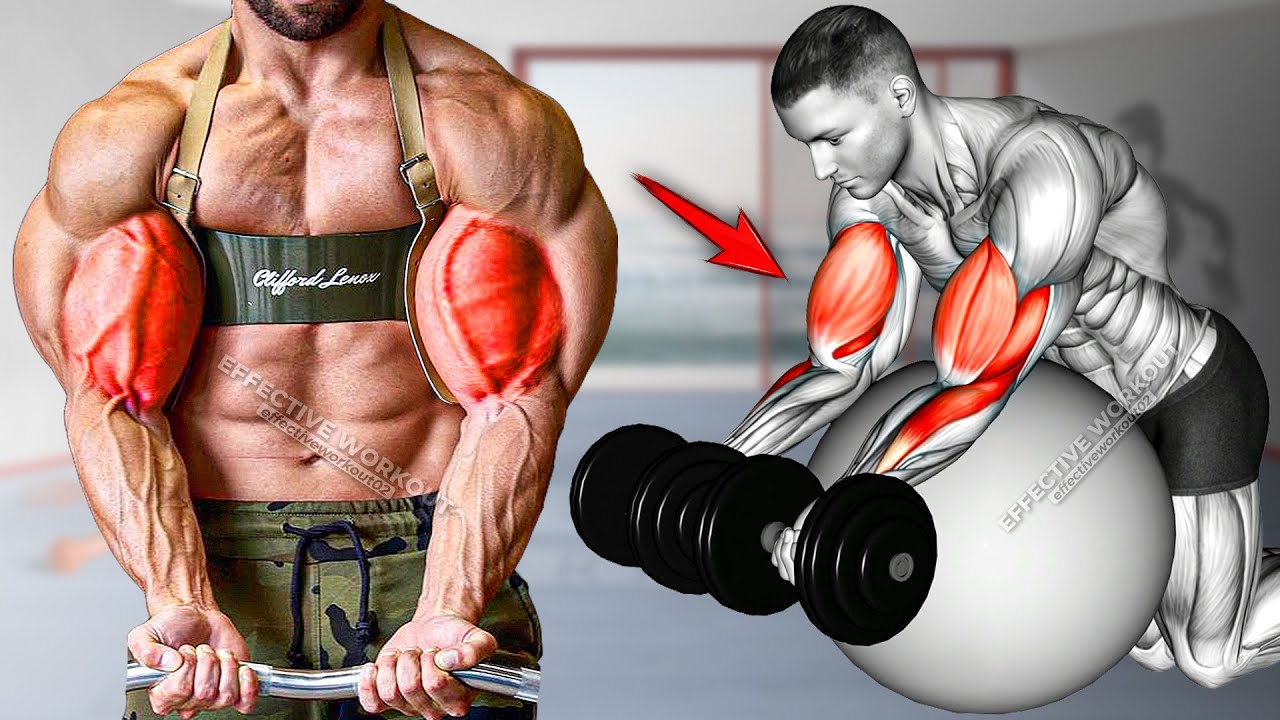5 Great Biceps Exercise For Maximum Muscle Growth - YouTube