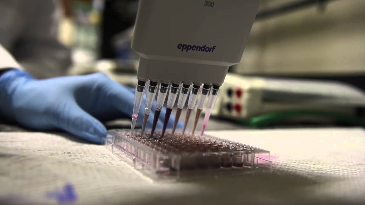 BODIPY - Sticky Proteins - YouTube