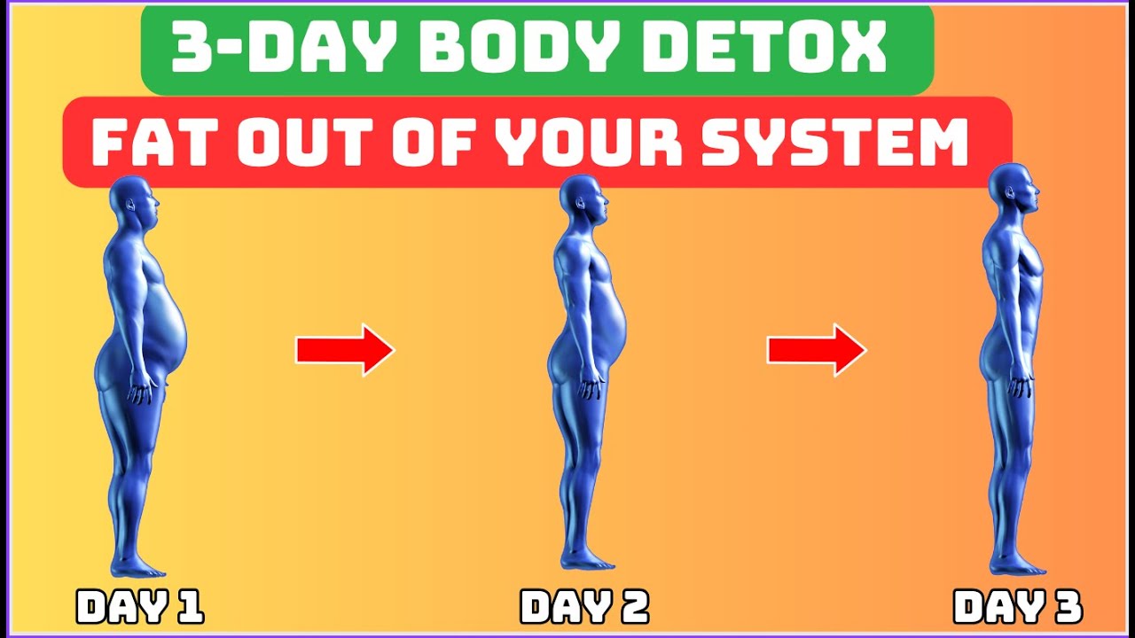 How to Do a 3 Day Complete Body Detox Fat Out of Your System has been ...