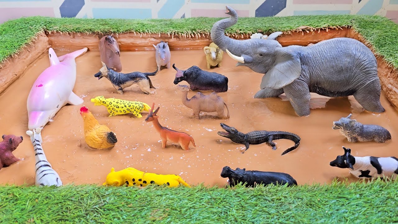 A Gentle Adventure to Rescue Friendly Dolphin and Farm Jungle Animals ...
