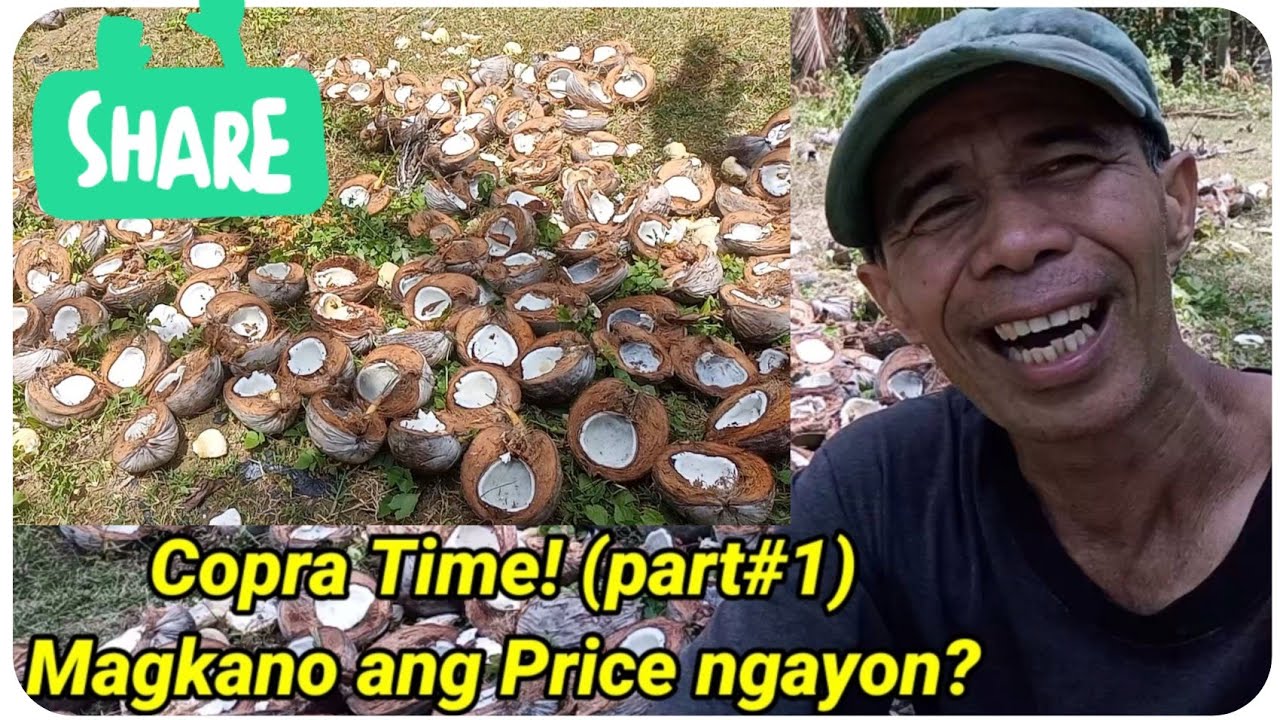 『Copra Time na naman!』〘Magkano presyo ngayon?〙 - YouTube