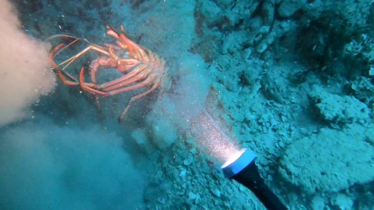 First time diving for Crays in winter - YouTube