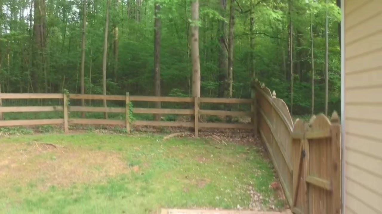 Life above ground.... - YouTube