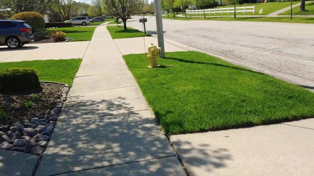 Taking A Walk YouTube taking-a-walk-youtube
