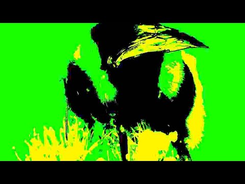 MSM skit: Zombie Apocalypse (but only humbug) - YouTube