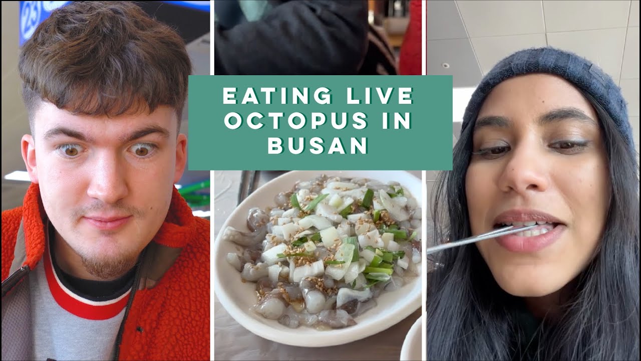 Eating Live Octopus in Busan | SOUTH KOREA - YouTube