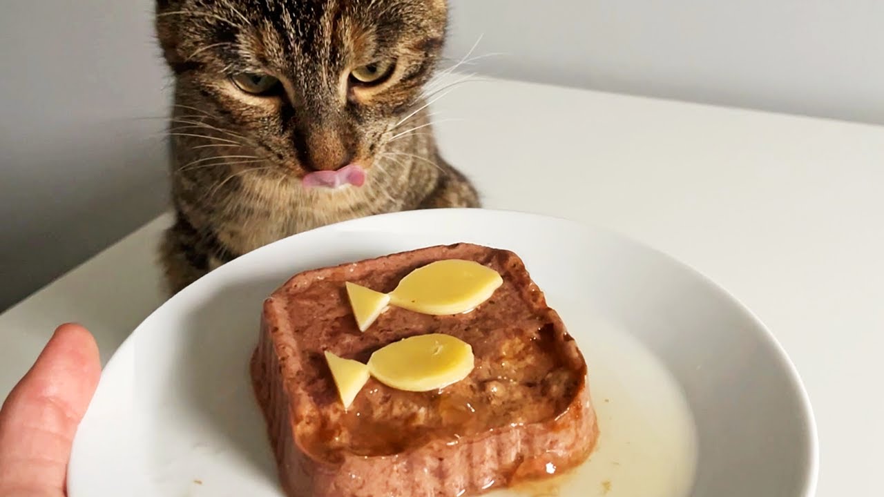 Cat Eating Pollock & Cheese 🧀 | ASMR - YouTube