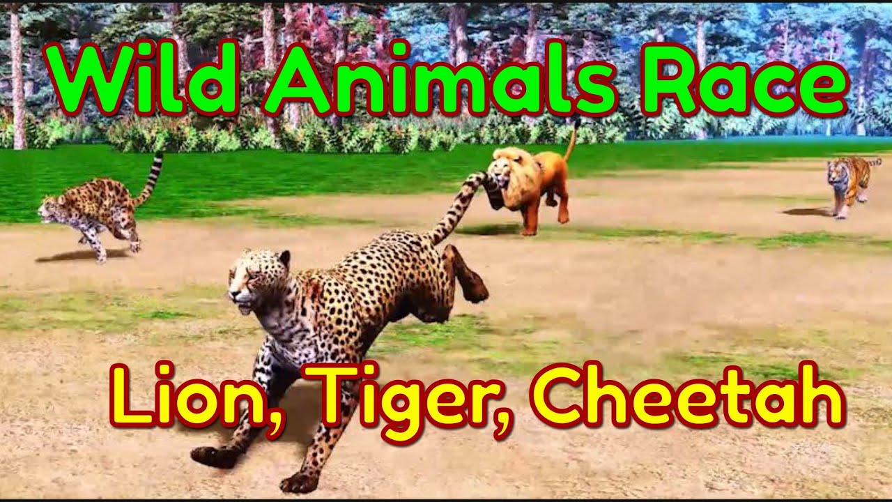 Wild Animals Running Race | Who Will Win The Animals Race - YouTube
