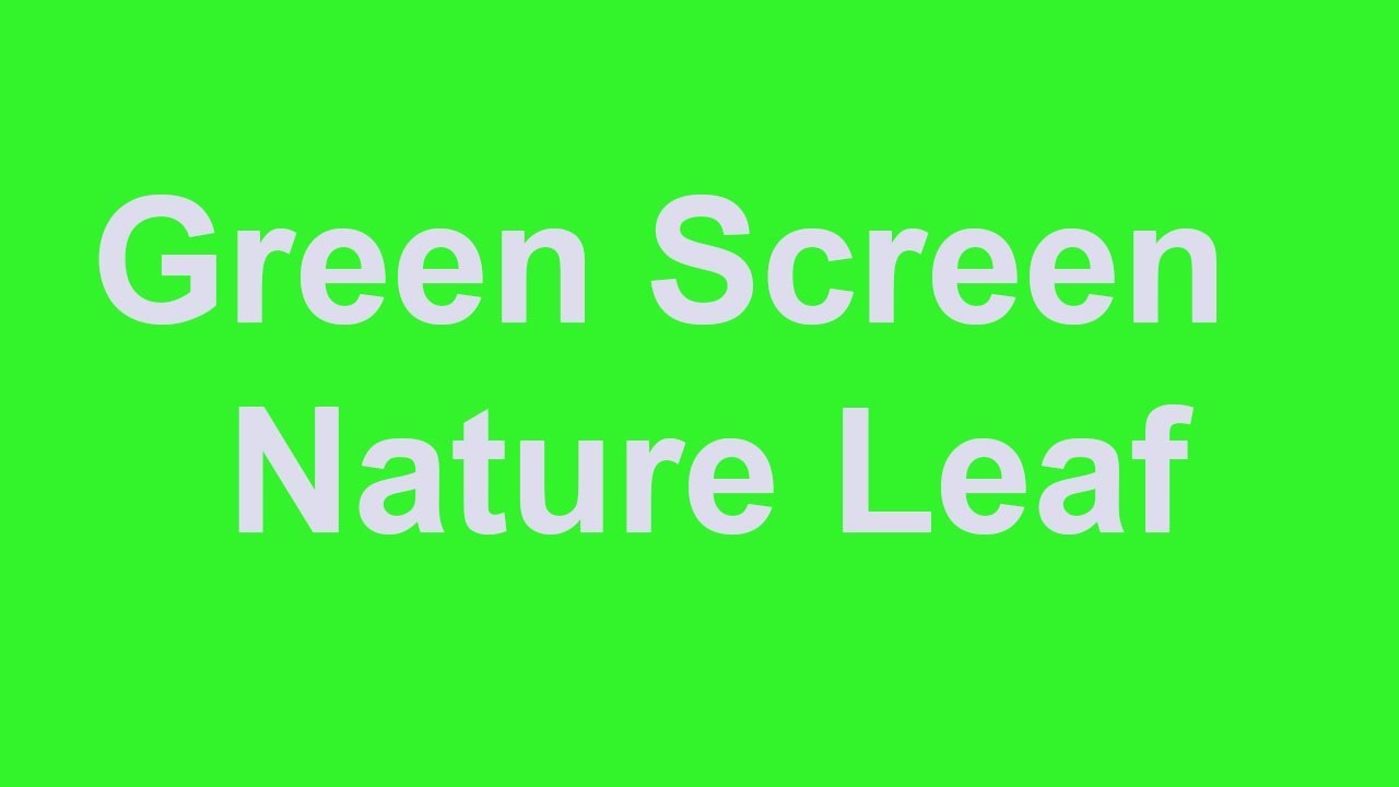 Green Screen Nature Leaf Video/Free Green Screen Video/Chroma Key Video ...