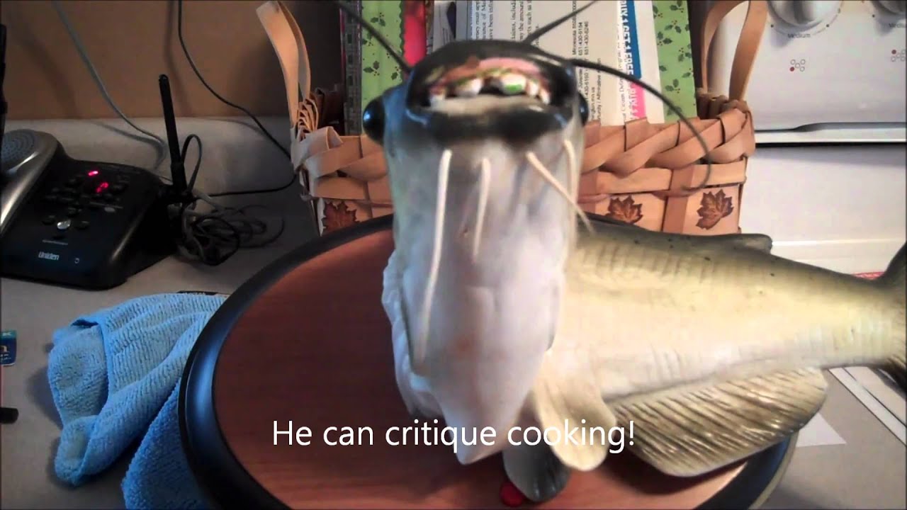 WISECRACK WILLY, THE HILARIOUS SMARTMOUTHED TALKING FISH! - YouTube