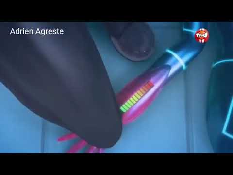 Uğur böceği ile kara kedi desbasido