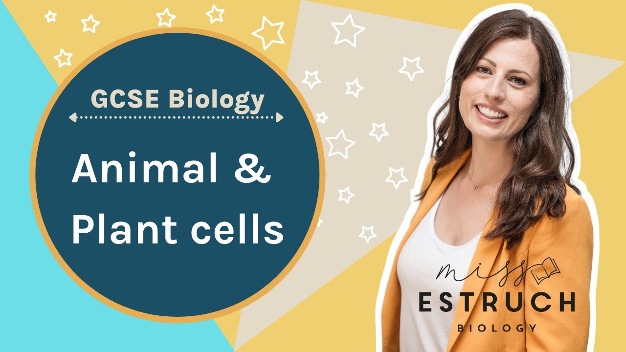 ANIMAL and PLANT CELLS: GCSE Biology - Learn the structure & function ...
