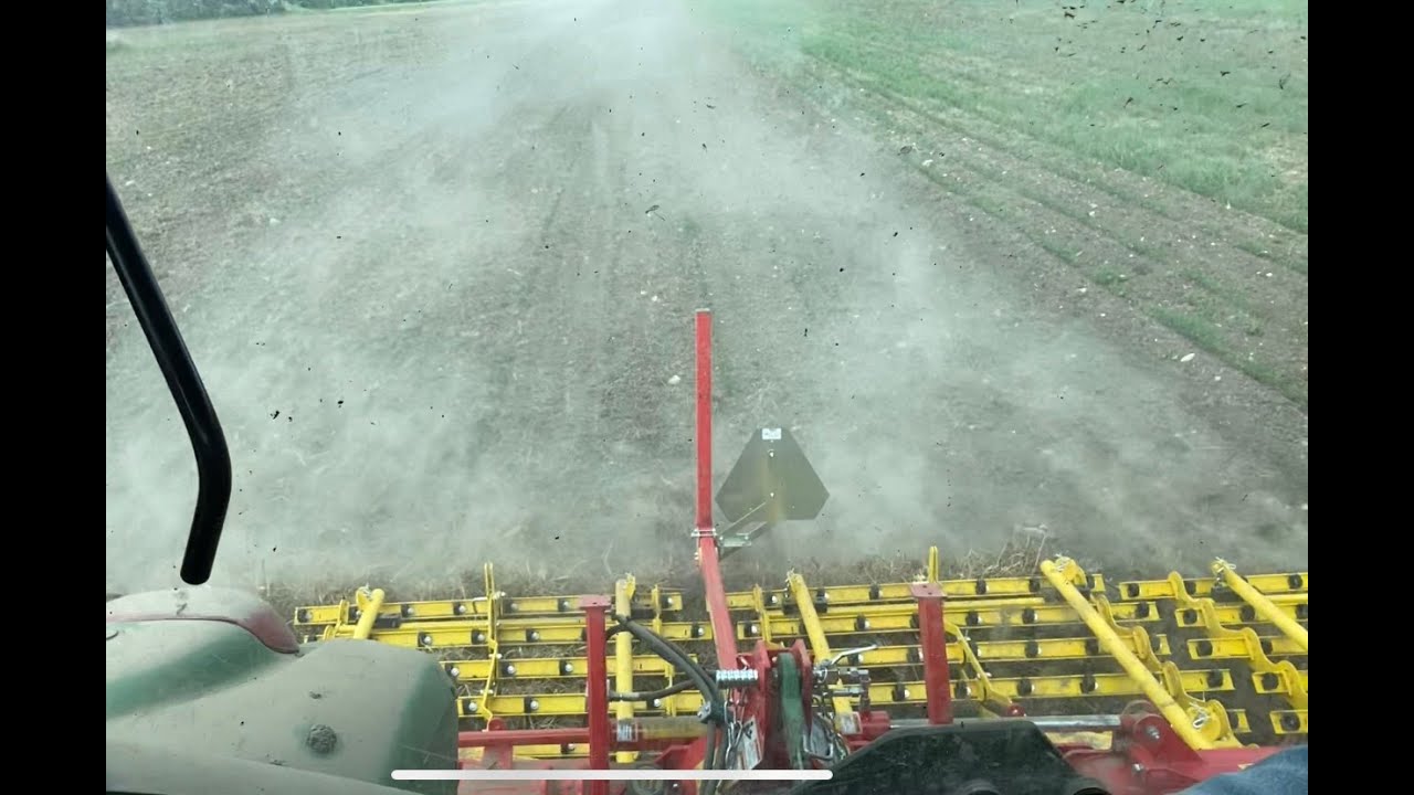 Tine weeding and row cultivating before and after - YouTube