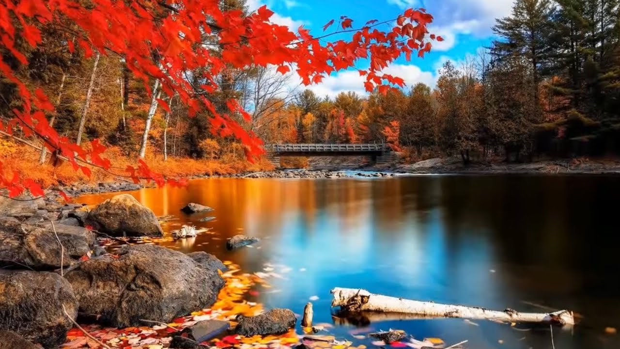 Beautiful Autumn in Downtown Reno Riverwalk Nevada - YouTube